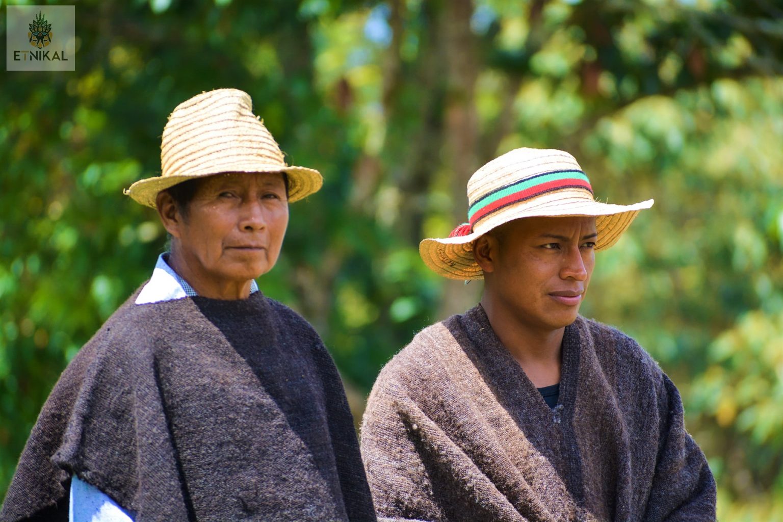 «Los pueblos indígenas son los guardianes ancestrales de las selvas y montañas, del agua y los ...
