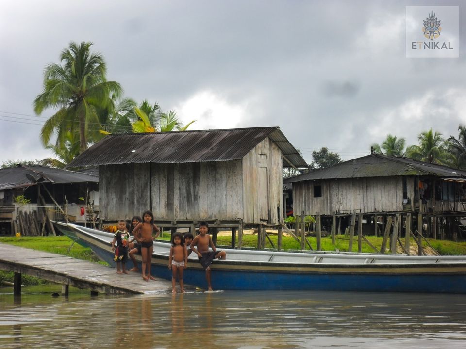 «Los pueblos indígenas son los guardianes ancestrales de las selvas y ...